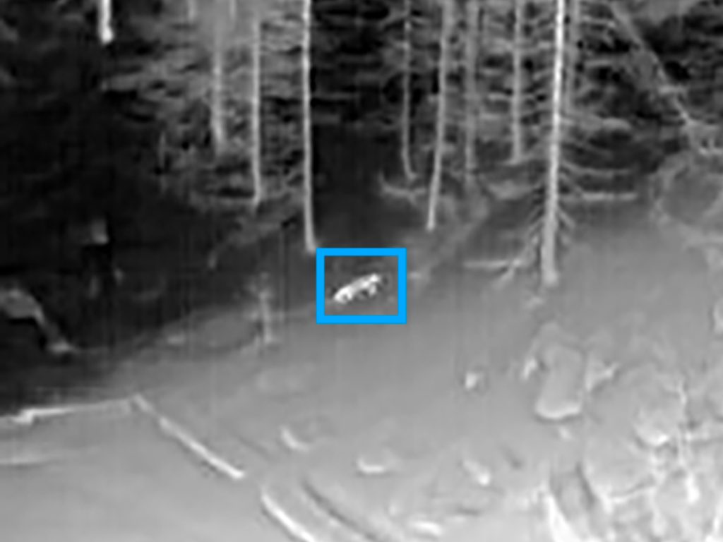 SR-RADON-X | Siralab